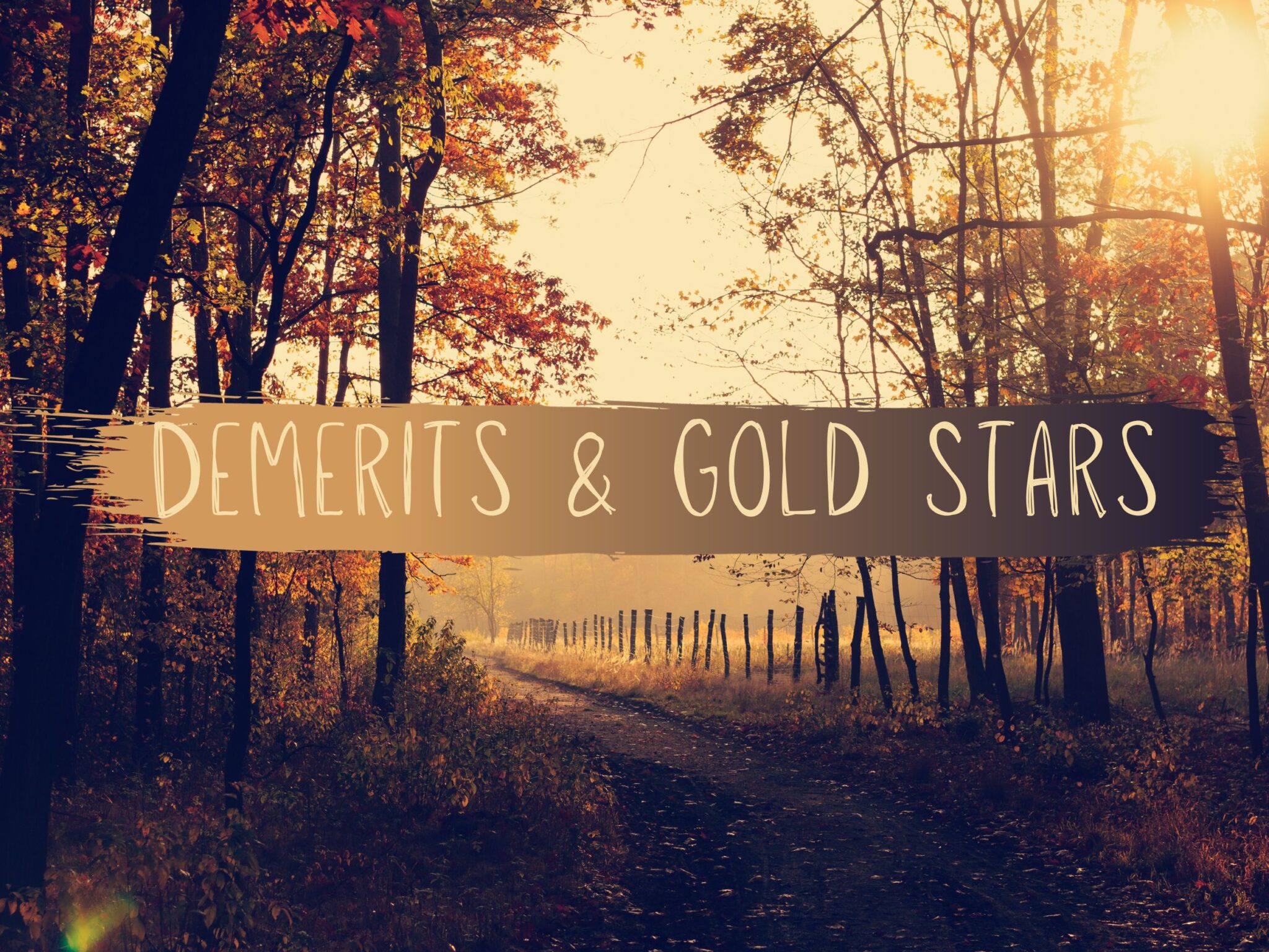Demerits & Gold Stars | Stephany Writes